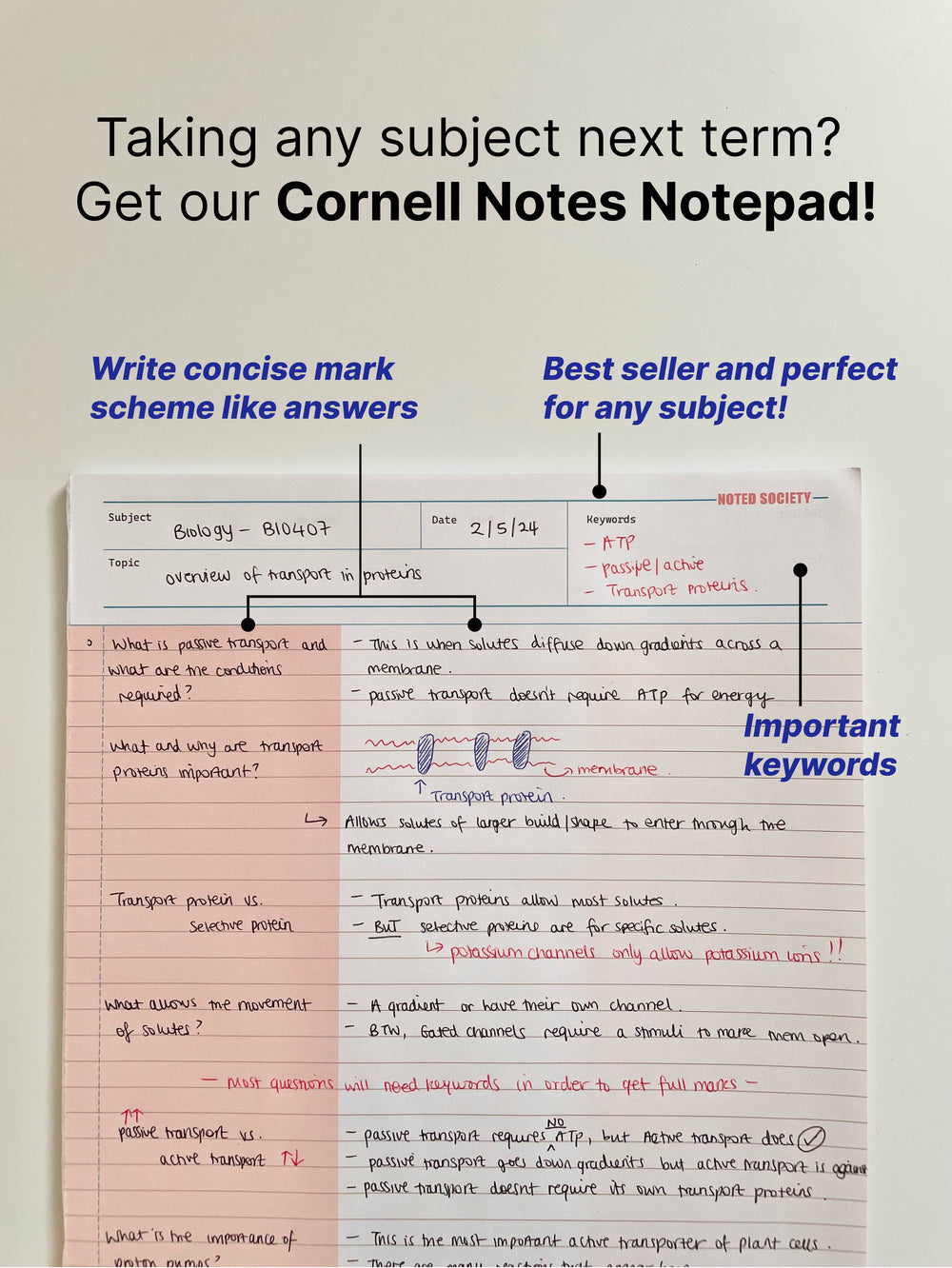 Cornell Notes Notepad